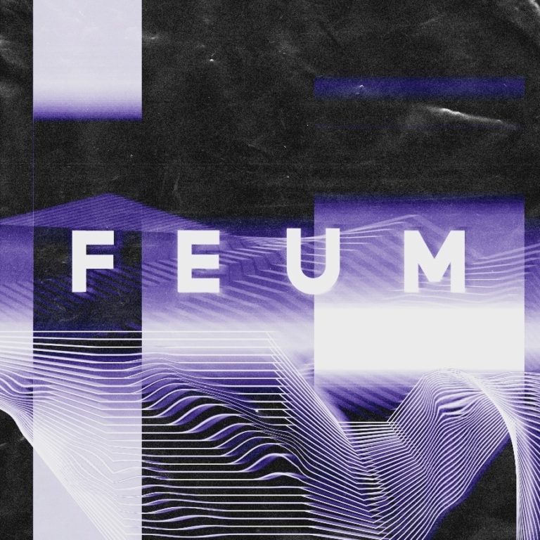 FEUM - Institut for (X)